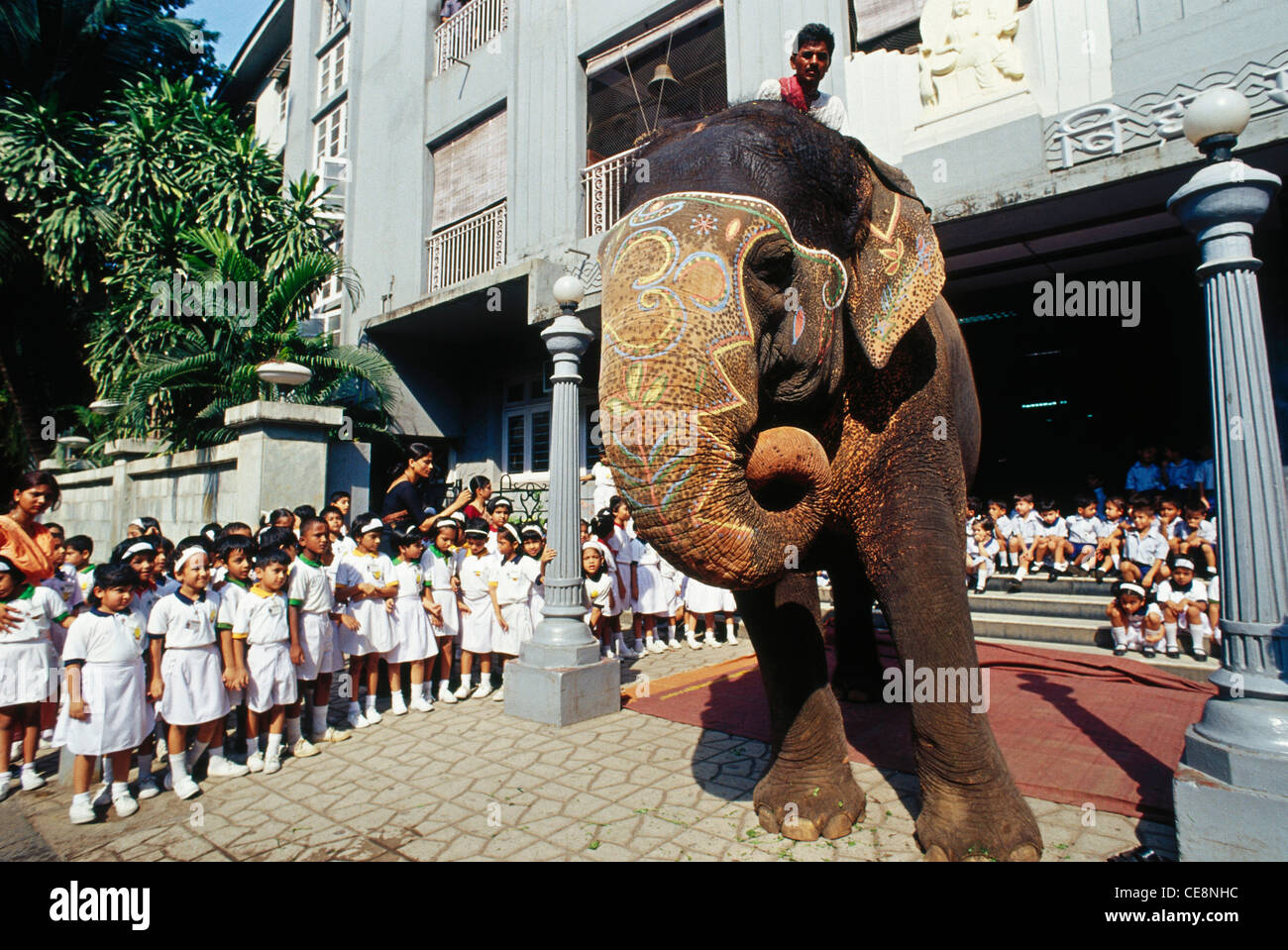 Elephant show in school ; india ; asia Stock Photo - Alamy
