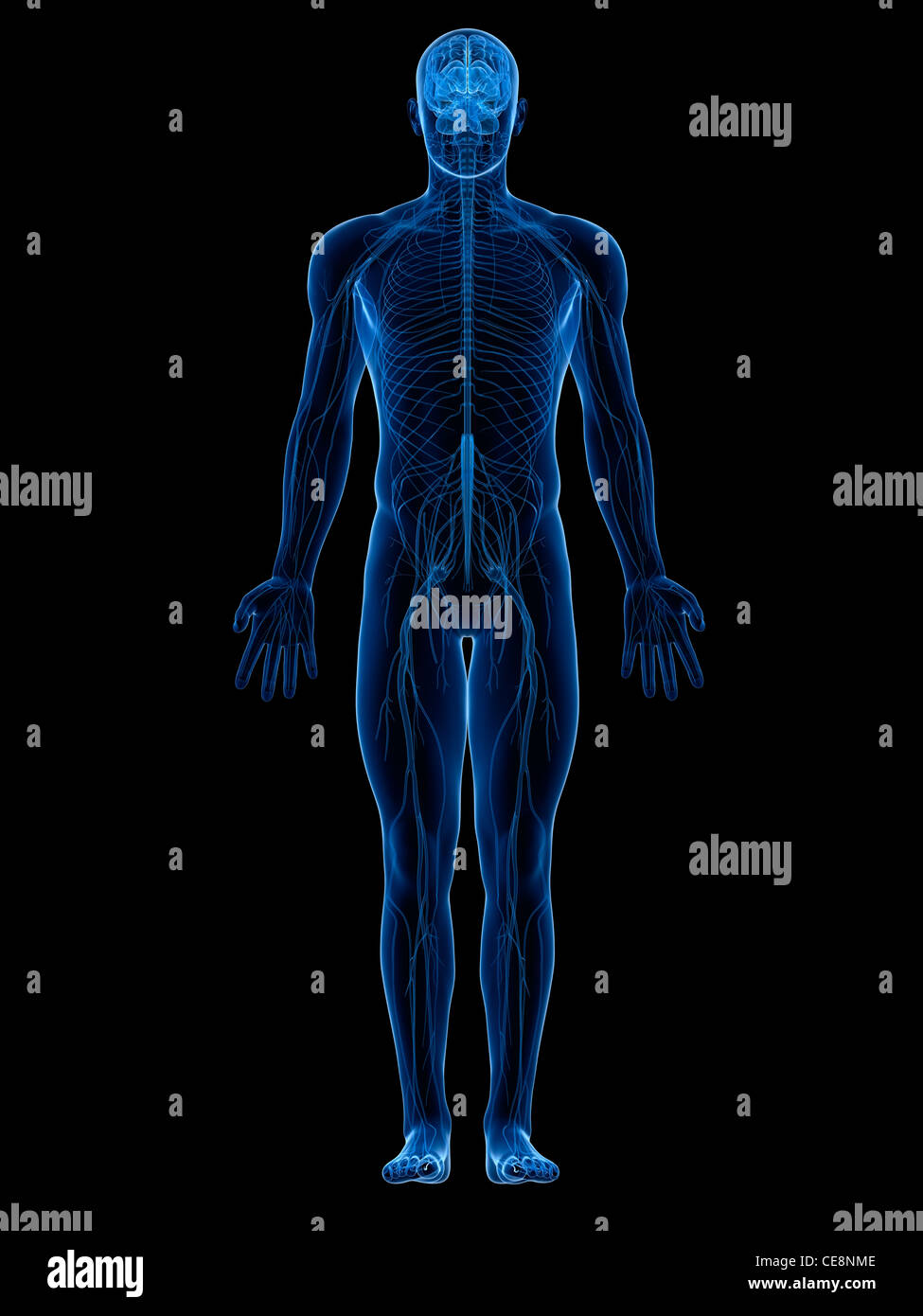 Cns design hi-res stock photography and images - Alamy