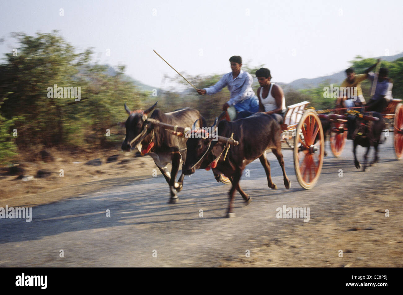 Bullocks pulling cart hi-res stock photography and images - Alamy