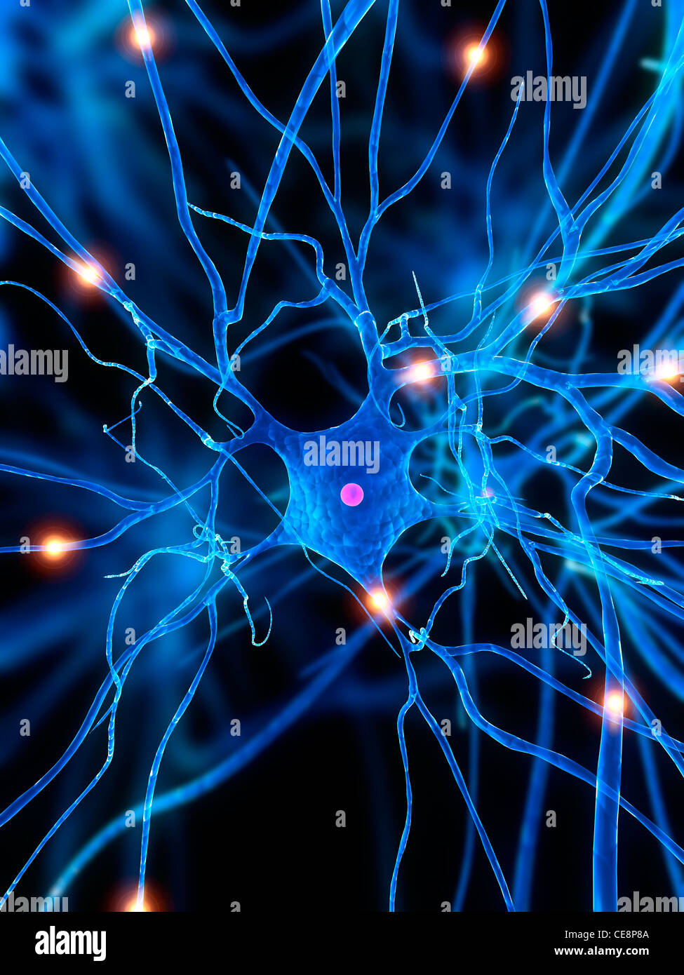 Visual system nerve cells hi-res stock photography and images - Alamy