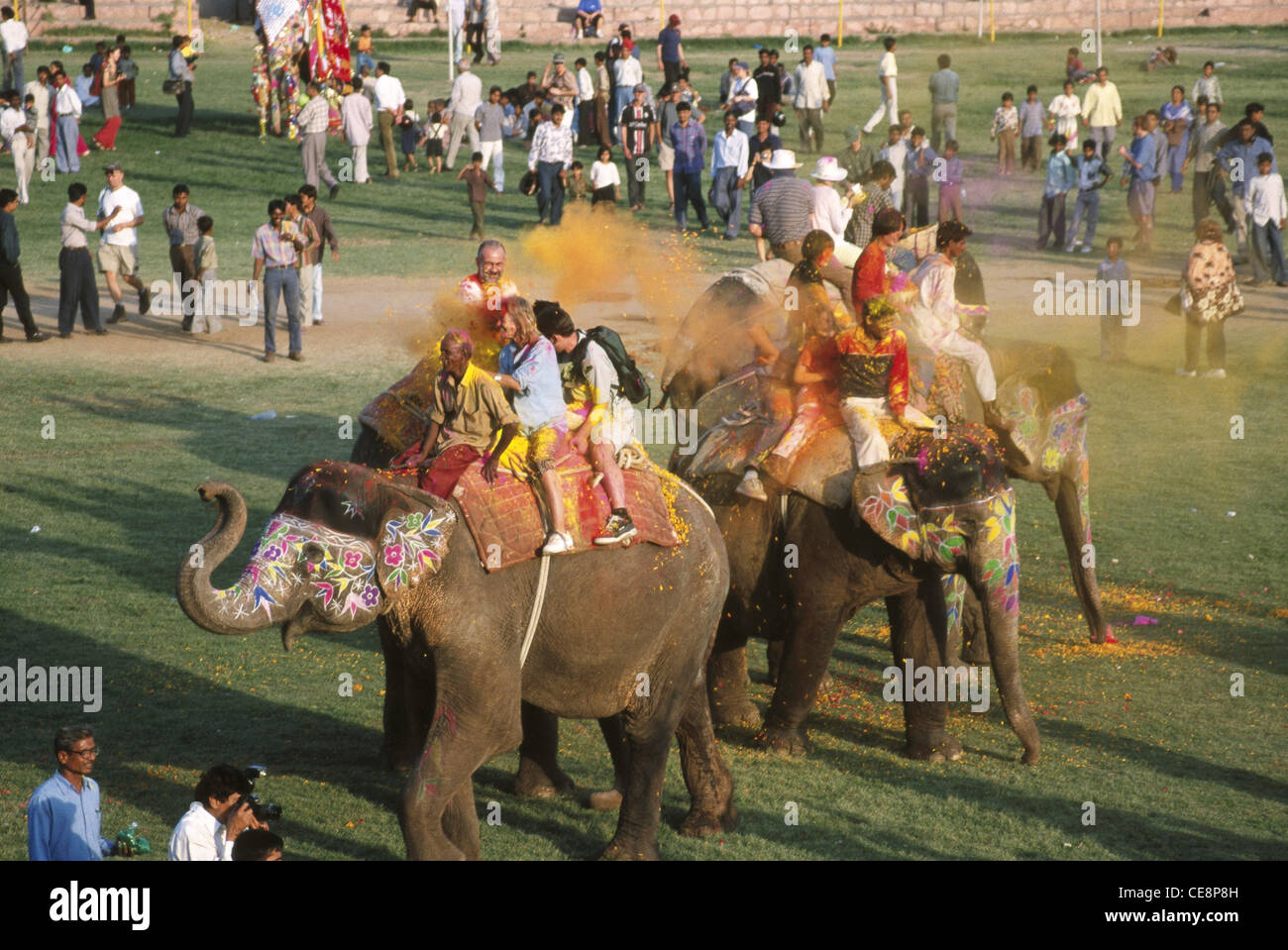India holi festival elephant hi-res stock photography and images - Alamy