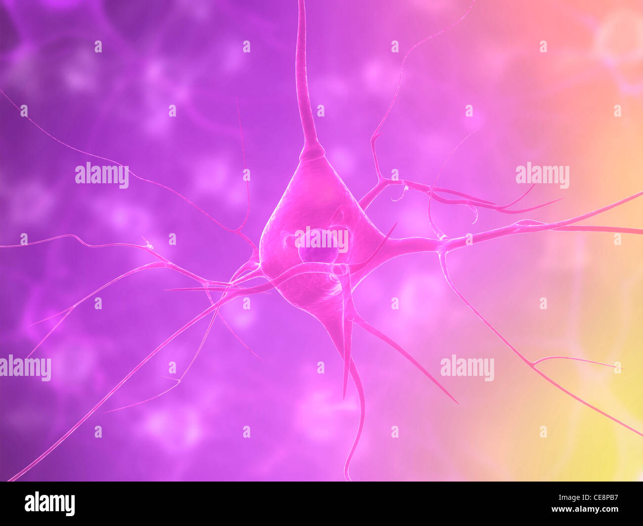 Visual system nerve cells hi-res stock photography and images - Alamy