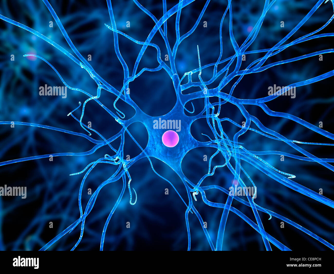 Nerve cell, computer artwork Stock Photo - Alamy