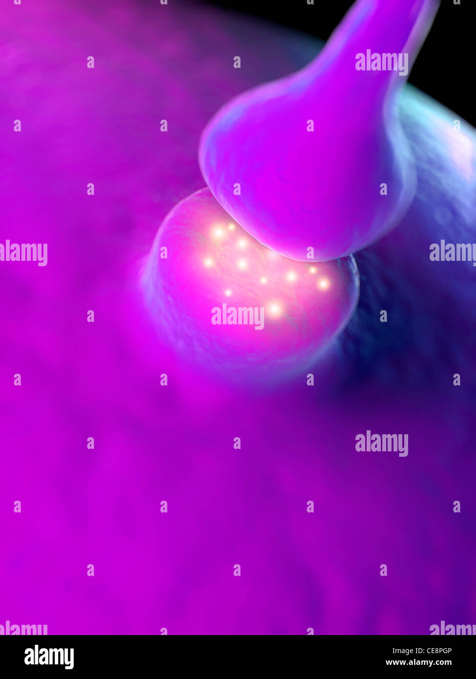 Synapse, computer artwork Stock Photo - Alamy