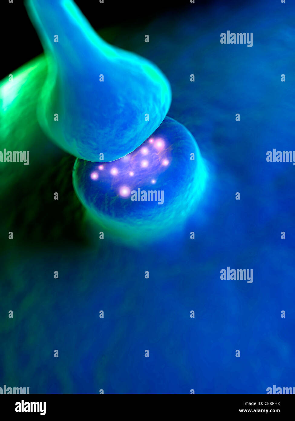 Synapse, computer artwork Stock Photo - Alamy