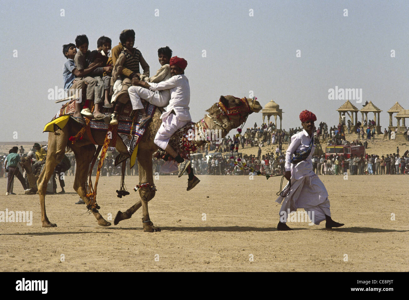 SSK80314 : six people on one camel contest Pushkar indian fair ...