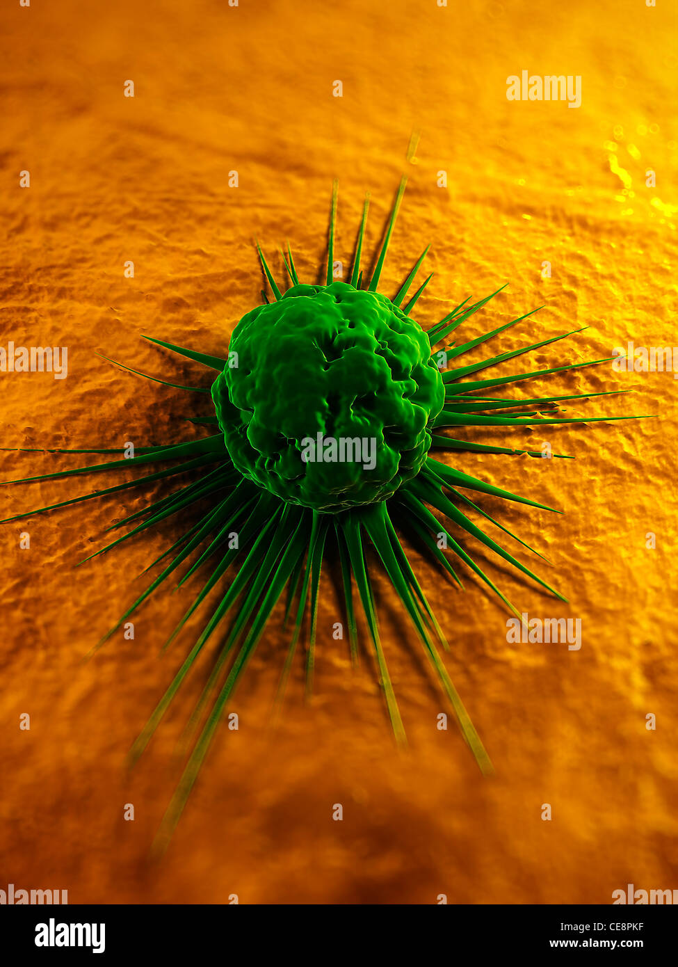 Cancer cell, computer artwork. The uneven surface and cytoplasmic ...