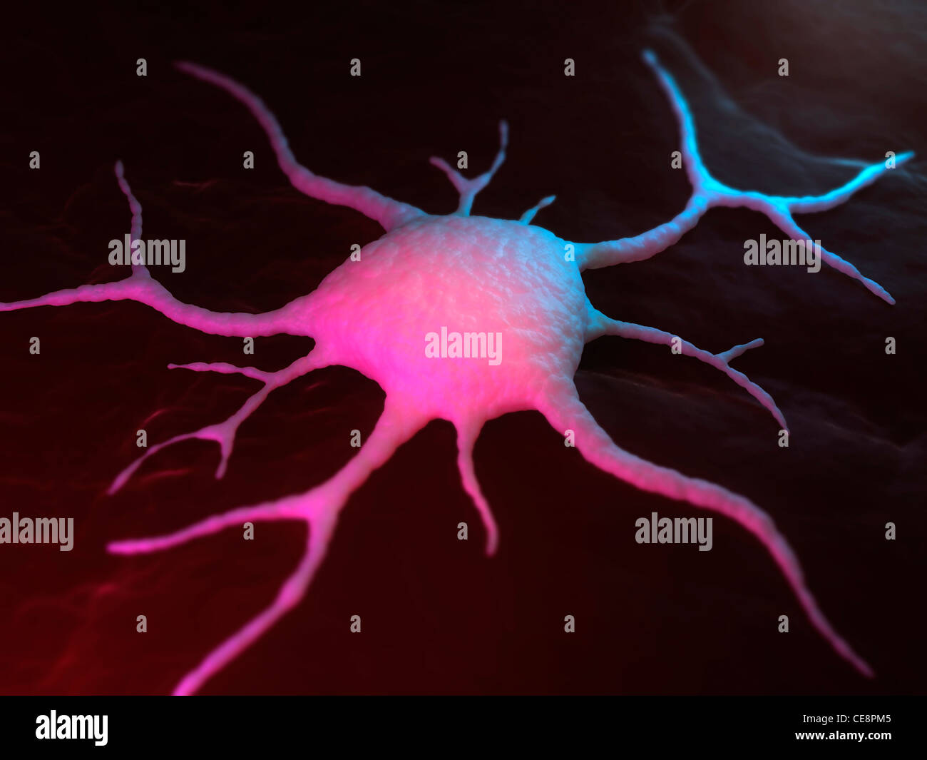Cancer cell, conceptual computer artwork. The uneven surface and ...