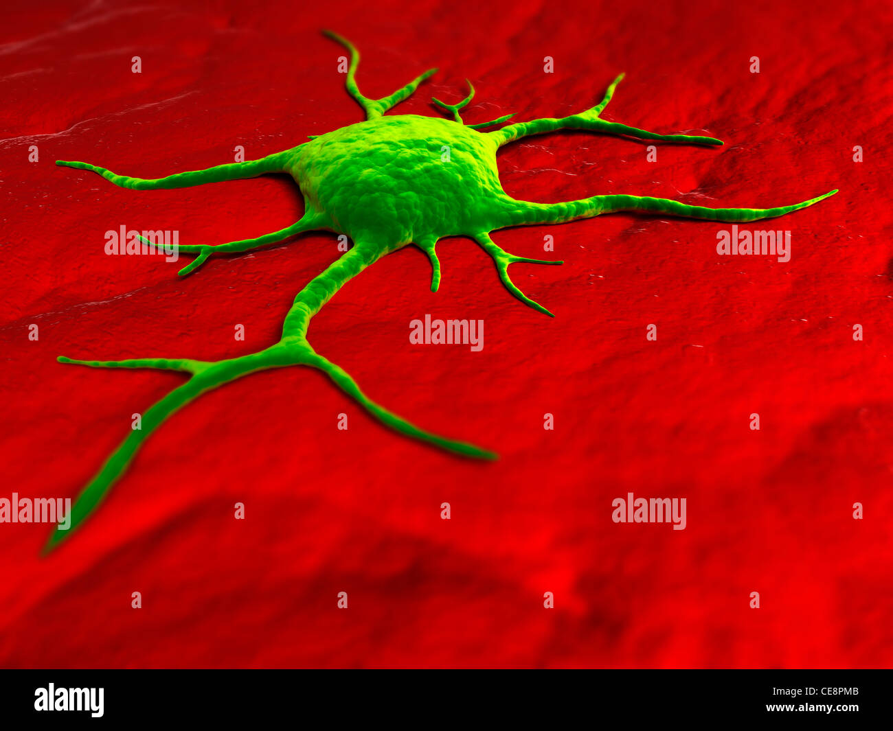 Cancer cell, conceptual computer artwork. The uneven surface and ...