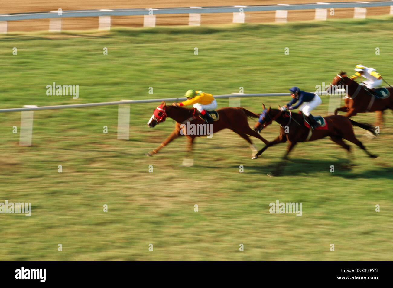 Three horses hi-res stock photography and images - Alamy
