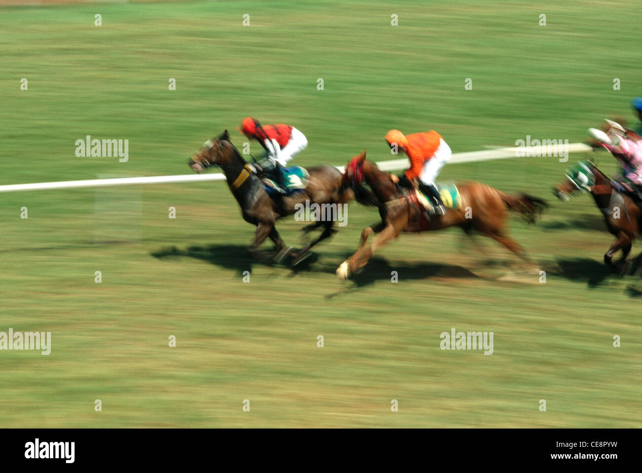 Horse race mahalakshmi race course hi-res stock photography and images ...