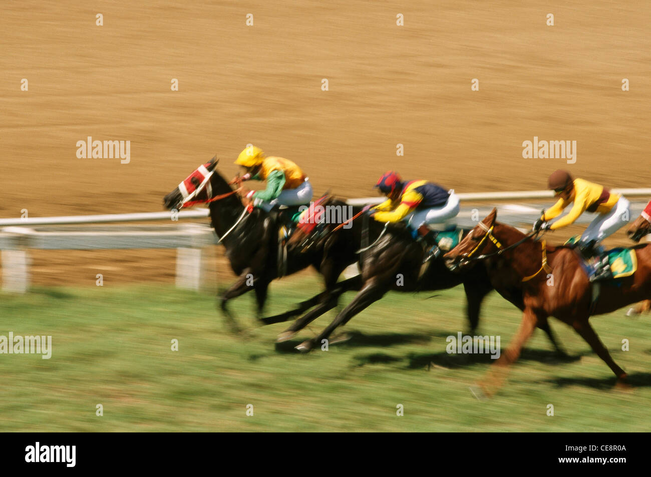 Three horses hi-res stock photography and images - Alamy