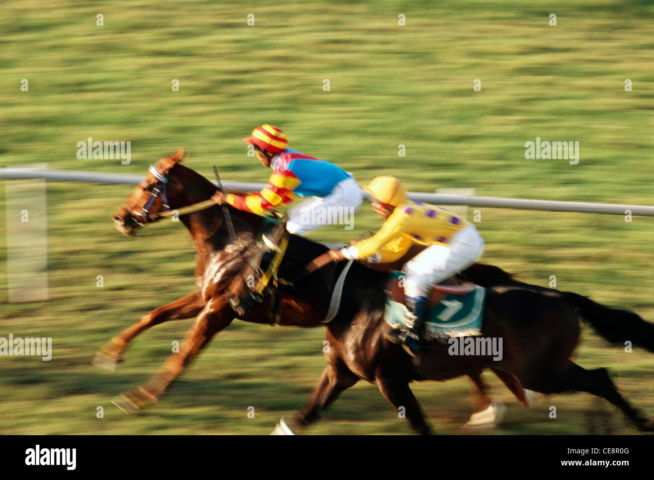 Horse race mahalakshmi race course hi-res stock photography and images ...