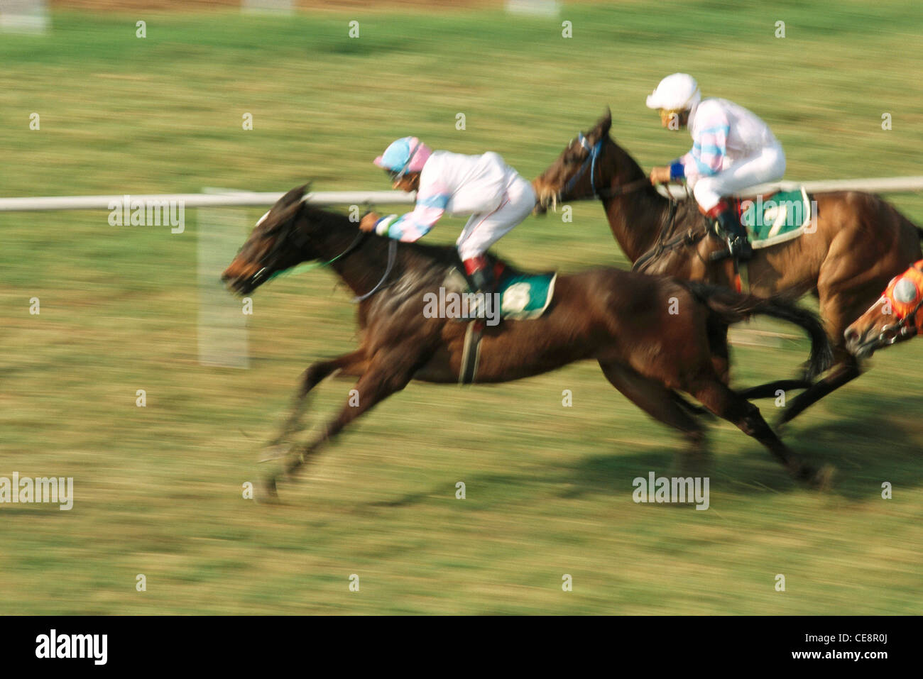 Horse Racing , Mahalakshmi Race Course , Bombay , Mumbai , Maharashtra ...