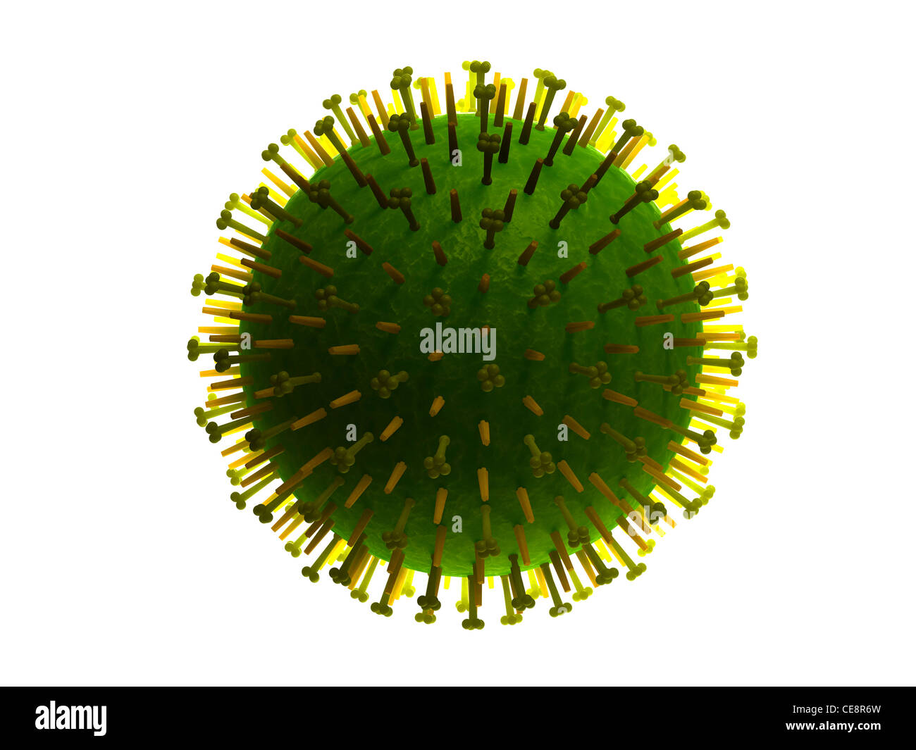 Flu virus, computer artwork Stock Photo - Alamy