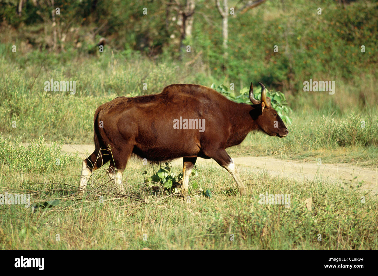 Stockinged feet hi-res stock photography and images - Alamy