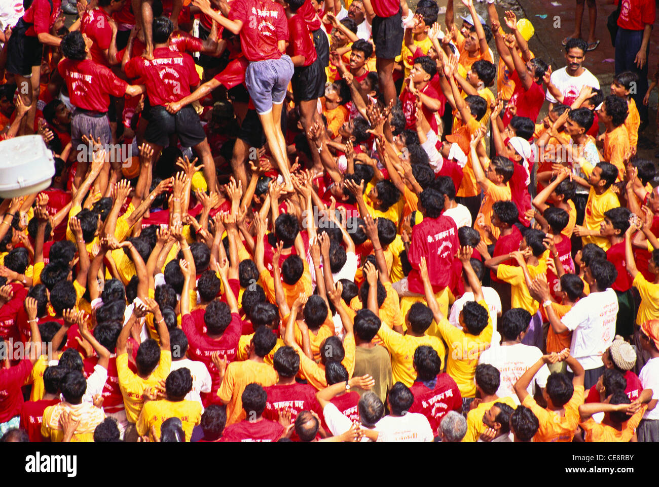 Human pyramid breaking dahi handi in the festival in mumbai hi-res ...