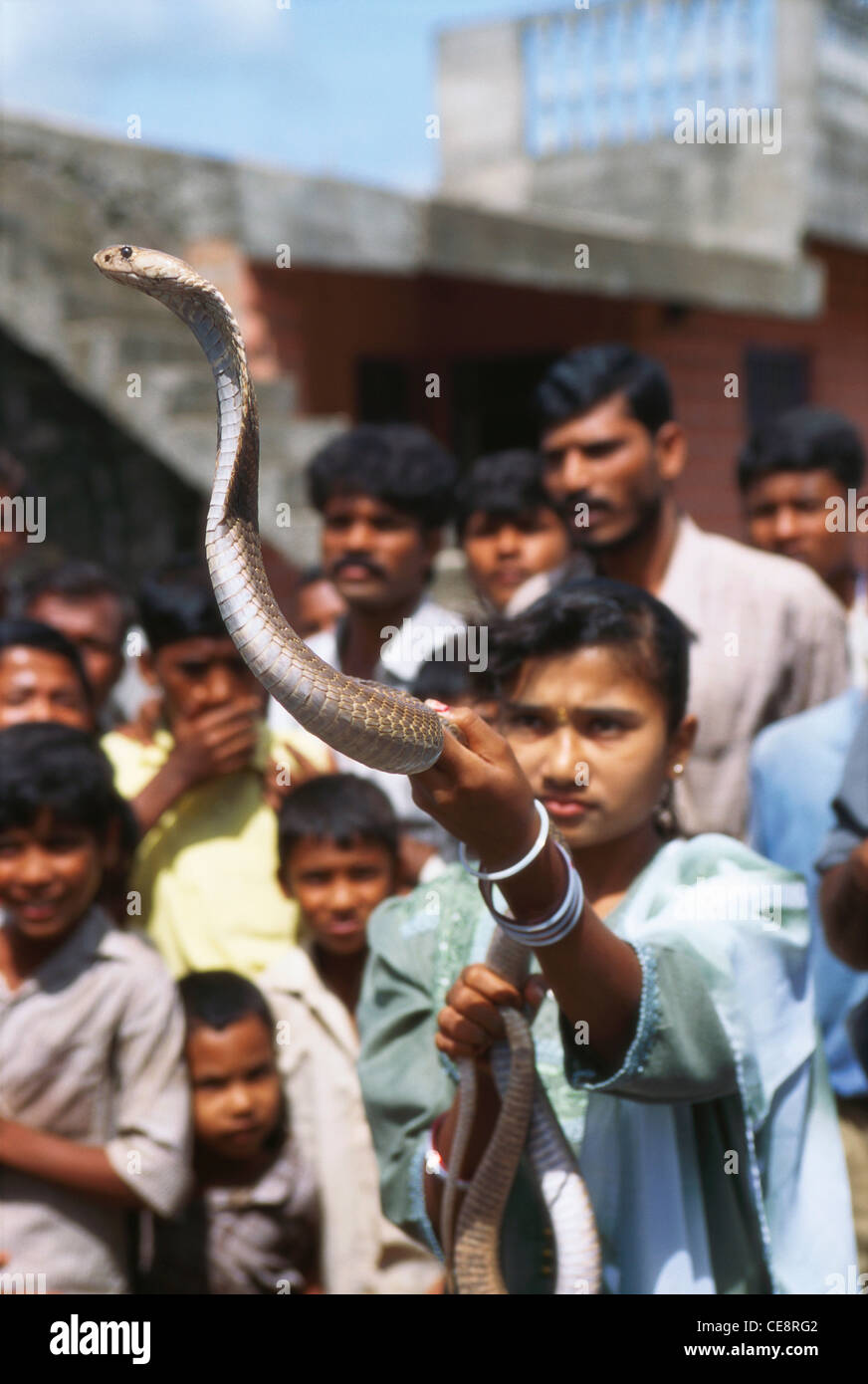 Woman holding king cobra snake on Naga panchami festival of Nag snake ...