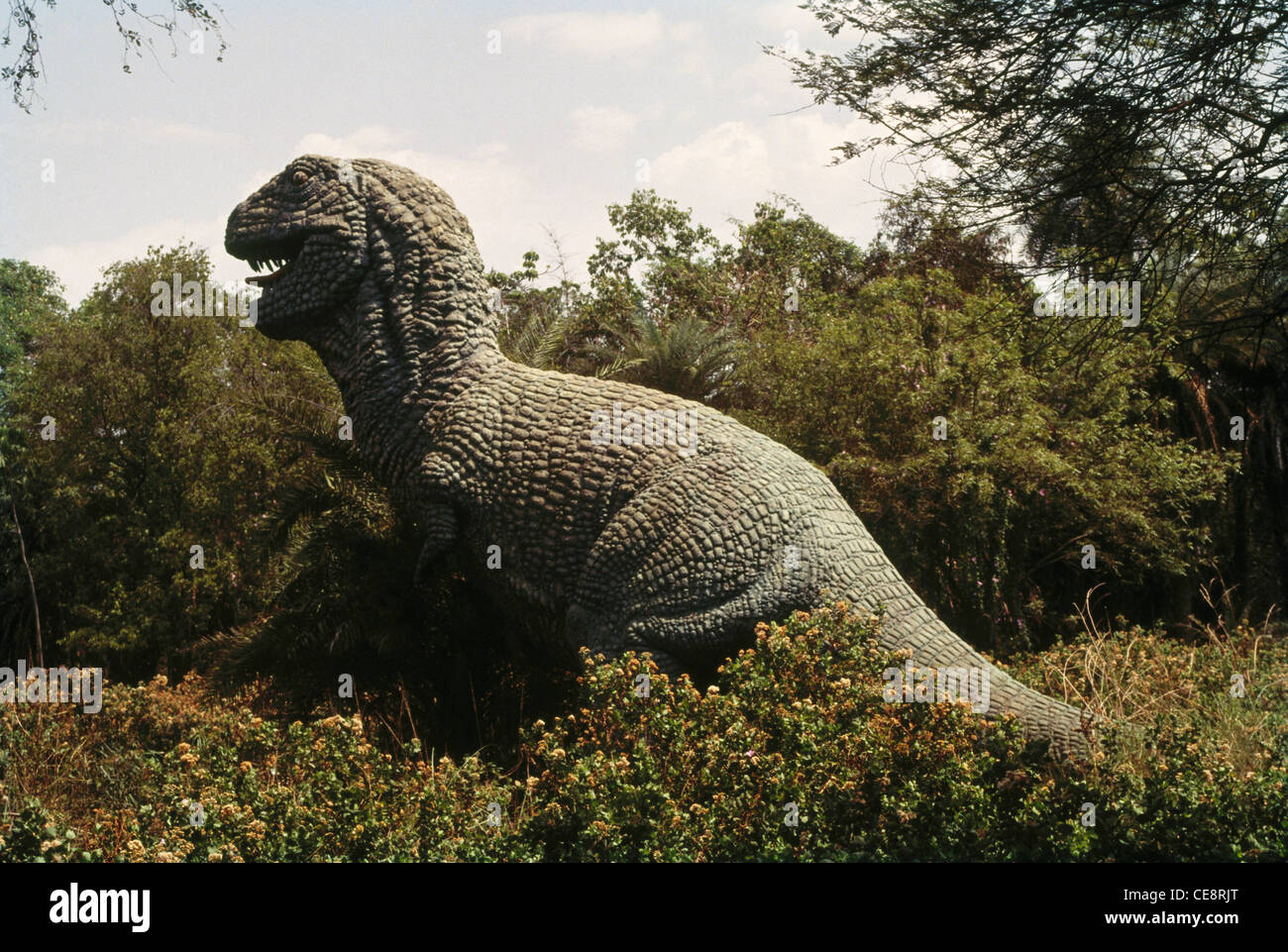 Indian Dinosaur High Resolution Stock Photography and Images - Alamy