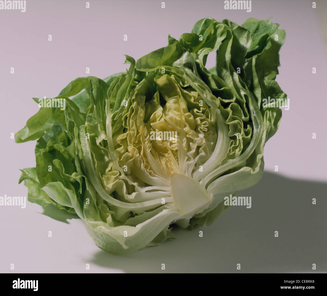 Cut out: Lettuce Stock Photo - Alamy