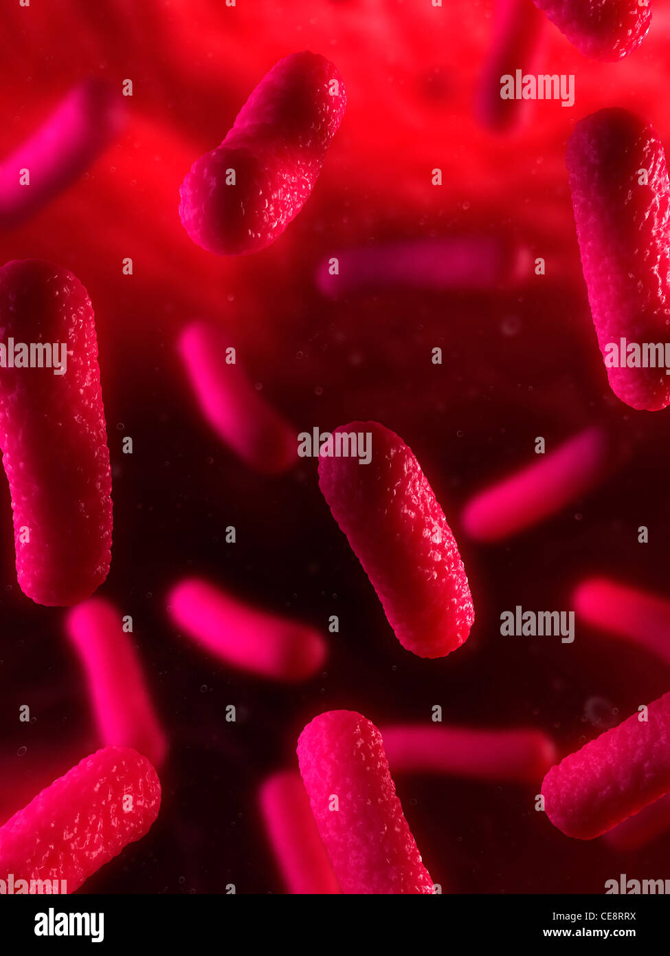 Bacteria, conceptual computer artwork Stock Photo - Alamy Bacteria, conceptual computer artwork Stock Photo - Alamy