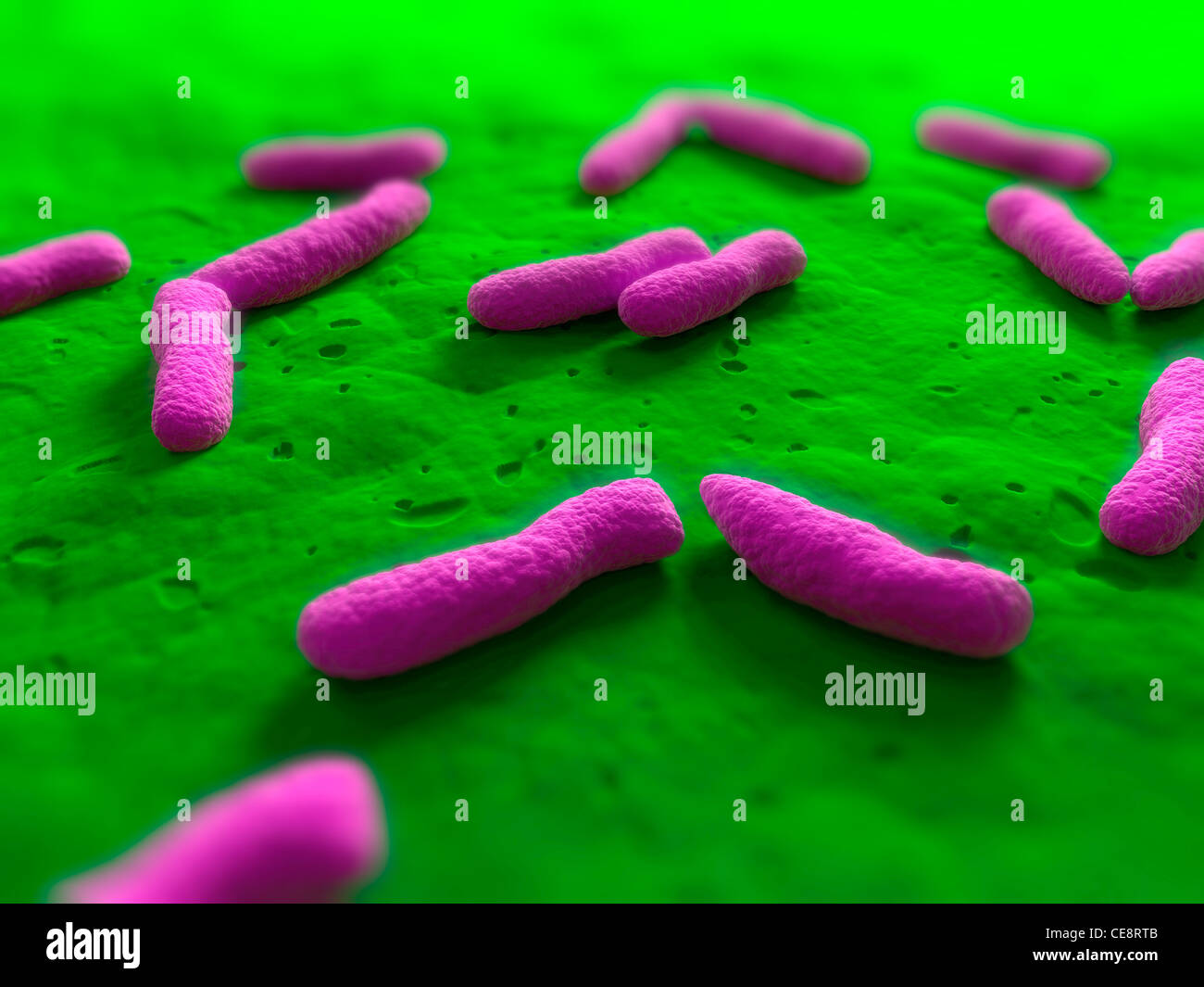Bacteria, conceptual computer artwork Stock Photo - Alamy Bacteria, conceptual computer artwork Stock Photo - Alamy