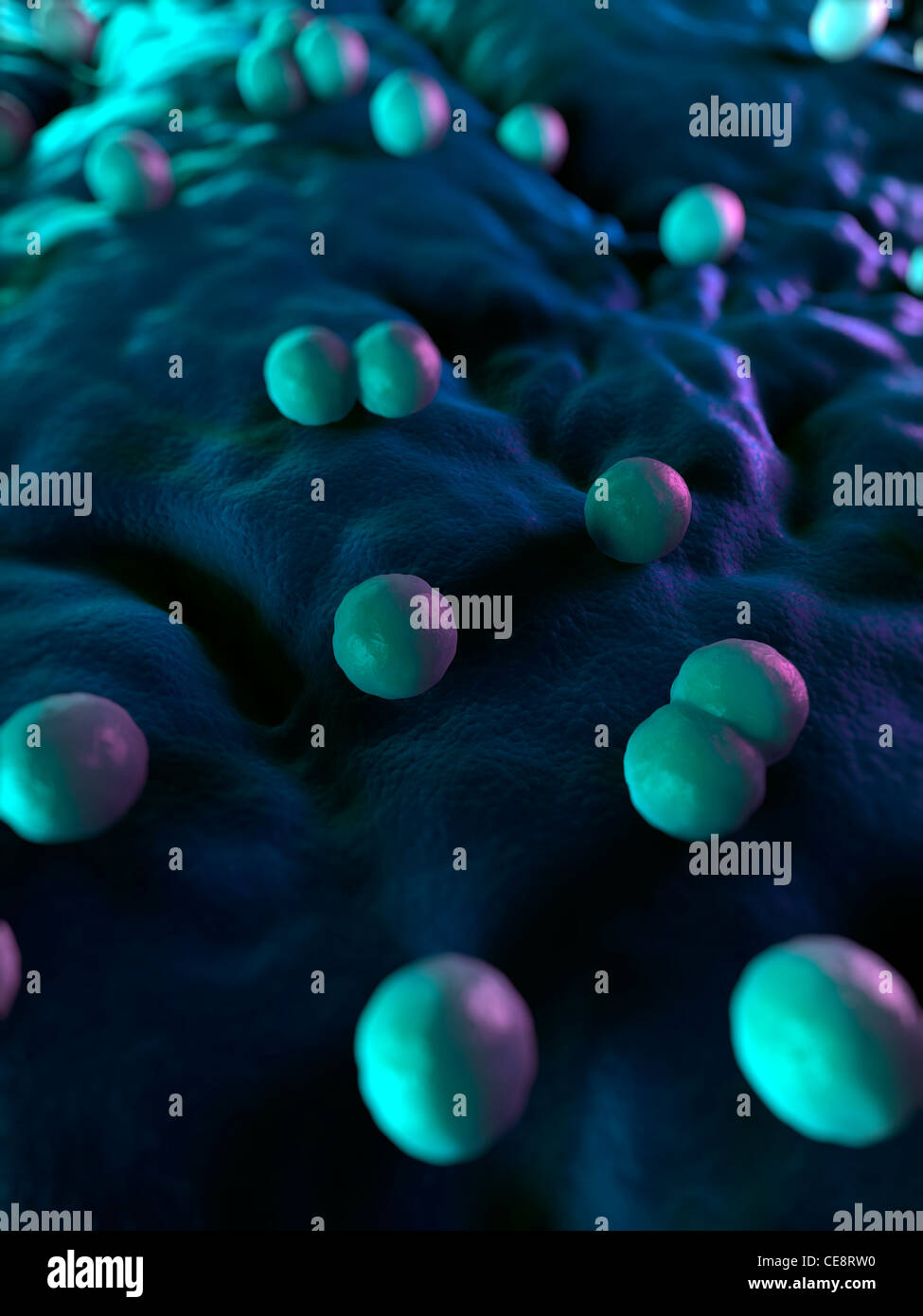 Bacteria, conceptual computer artwork Stock Photo - Alamy Bacteria, conceptual computer artwork Stock Photo - Alamy