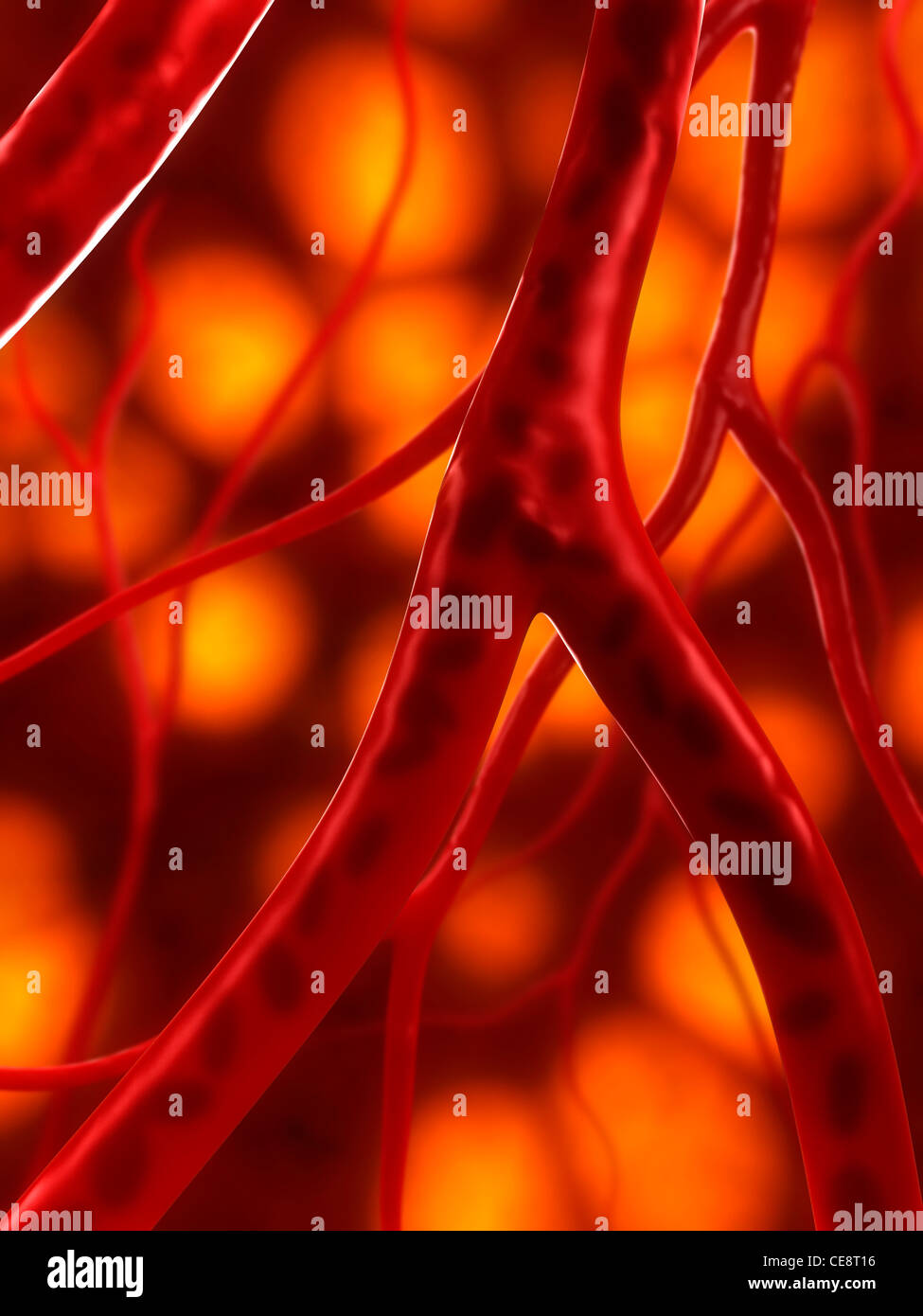 Arteries, computer artwork Stock Photo - Alamy