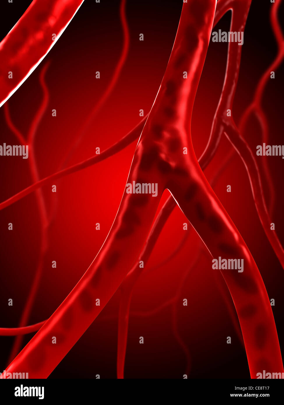 Arteries, computer artwork Stock Photo - Alamy