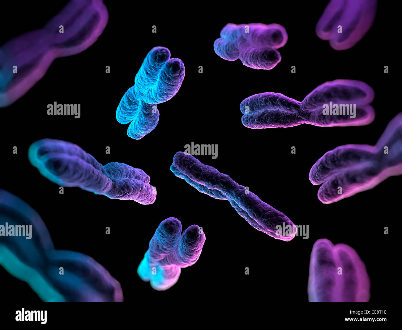 Chromosomes visual hi-res stock photography and images - Alamy