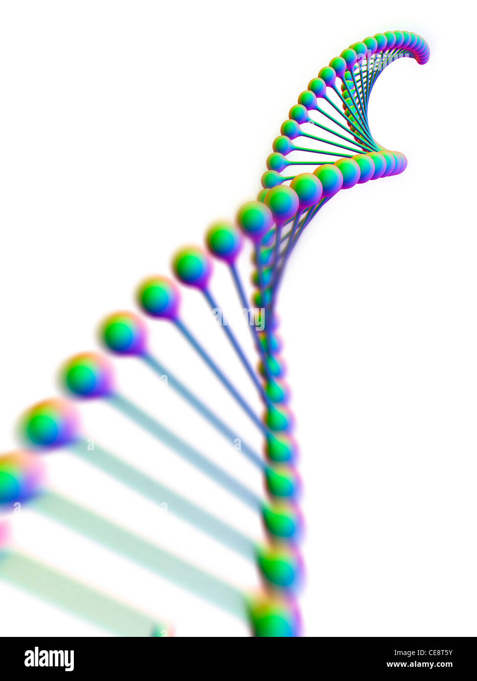 DNA molecule computer artwork DNA deoxyribonucleic acid composed two ...