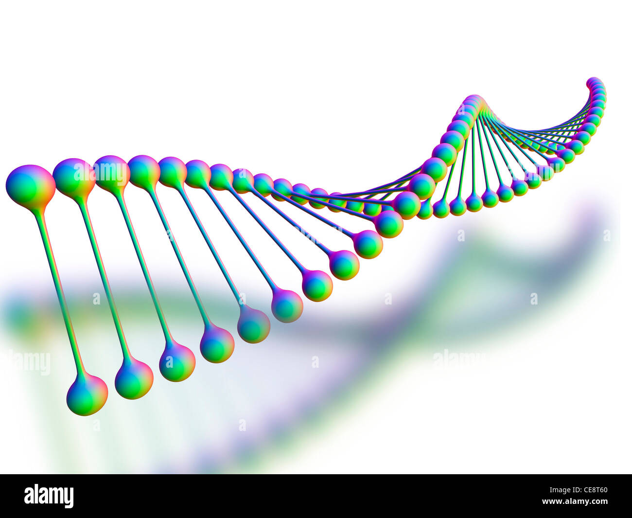 Double helix structure twisted ladder hi-res stock photography and ...