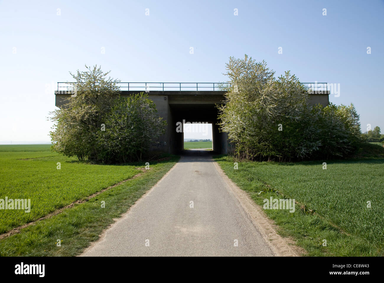 Way, fields and tunnel Stock Photo - Alamy