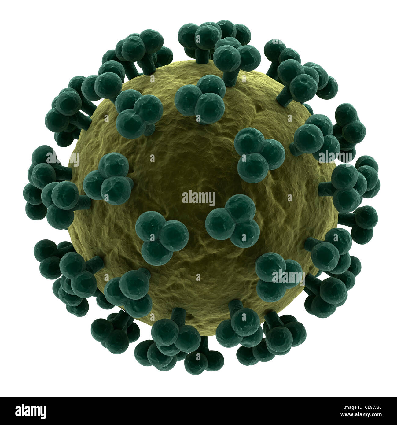 HIV (human immunodeficiency virus) particle, computer artwork Stock ...