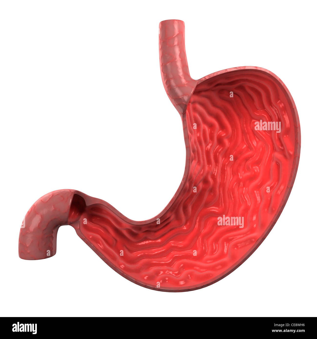 Stomach arts hi-res stock photography and images - Alamy
