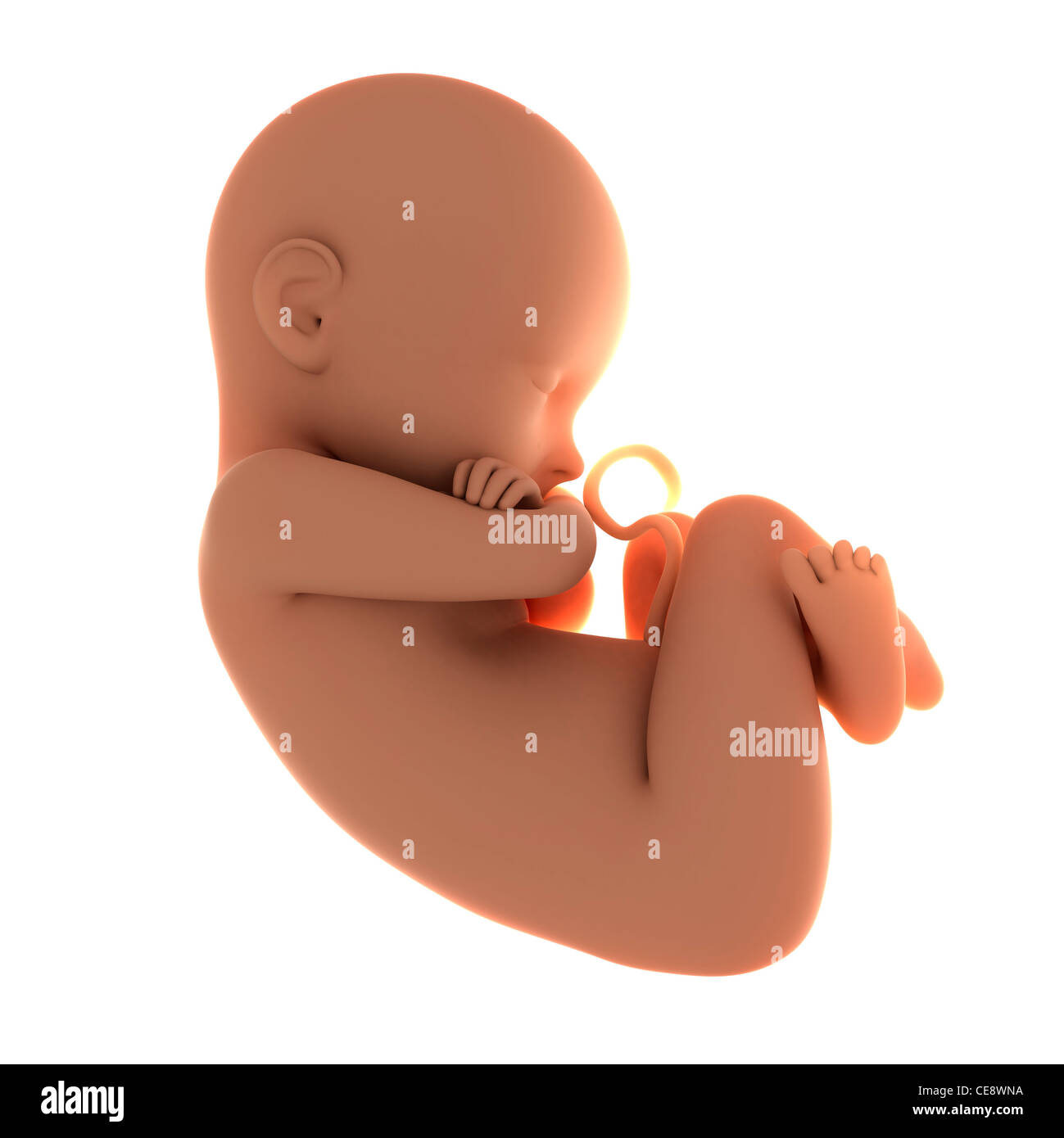 Foetal position hi-res stock photography and images - Alamy