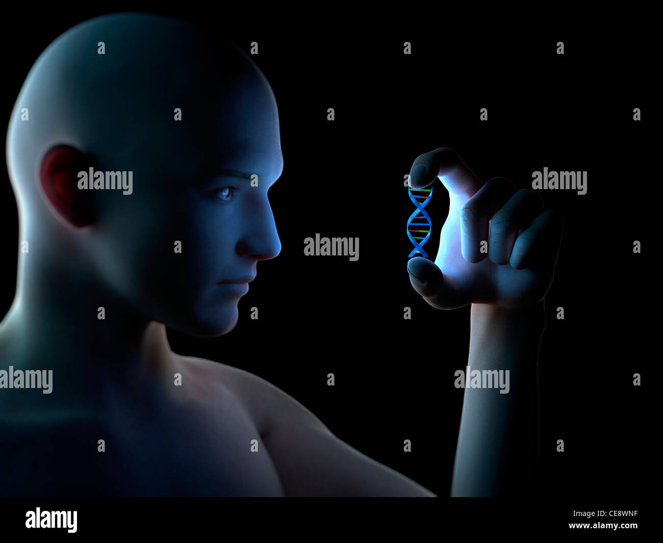 Genetic research, conceptual computer artwork Stock Photo - Alamy