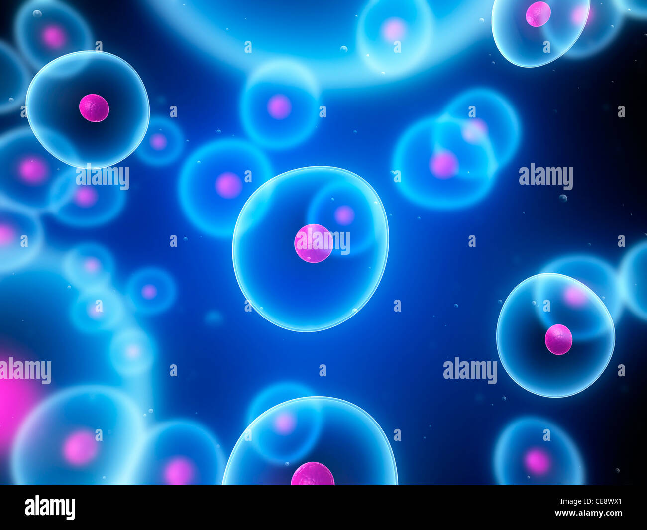 Cells, conceptual computer artwork Stock Photo - Alamy