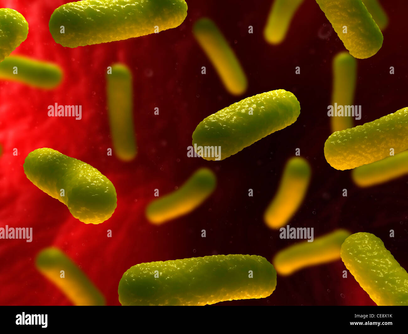 Human pathogen defences hi-res stock photography and images - Alamy