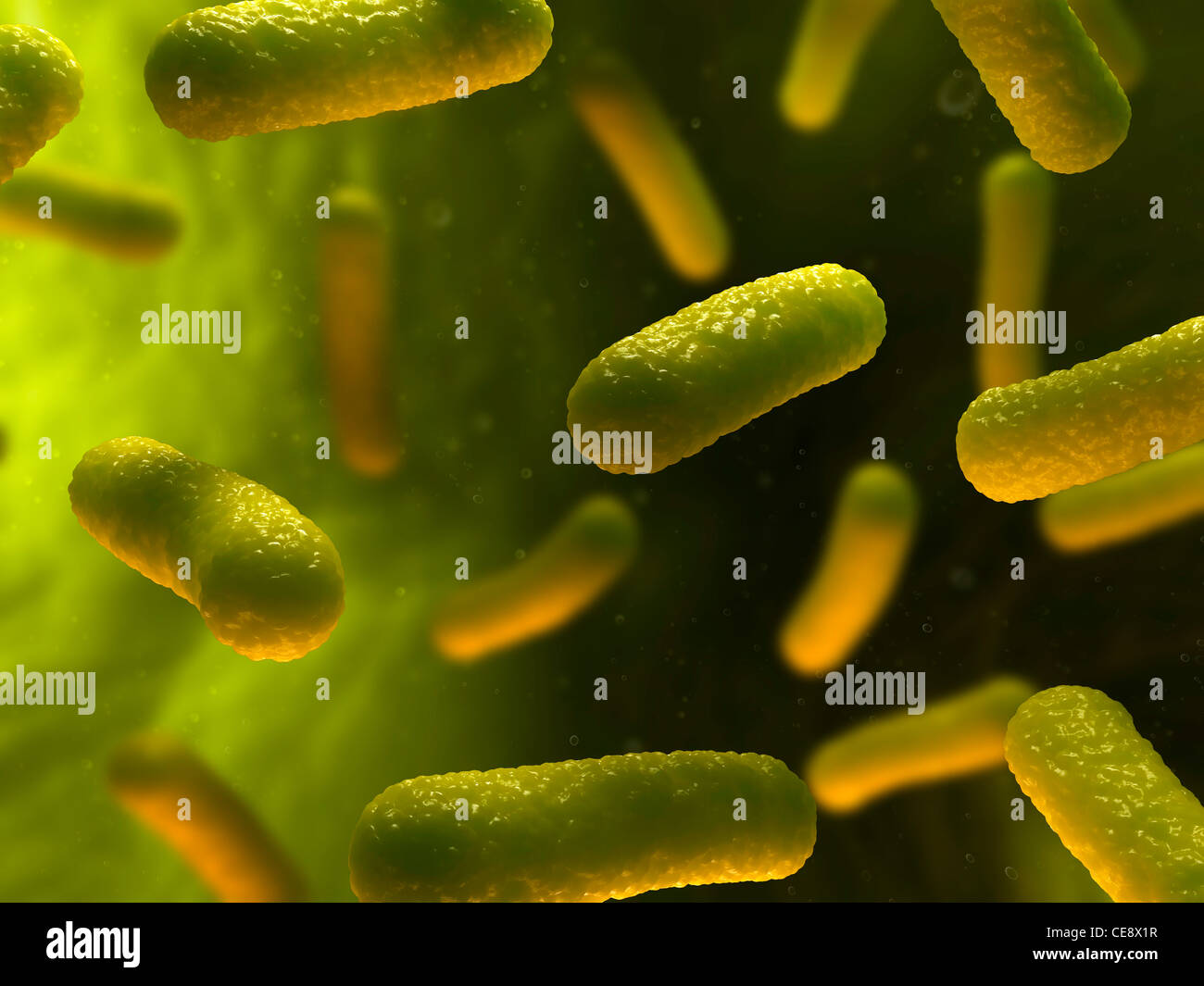 Bacterial infection, computer artwork Stock Photo - Alamy