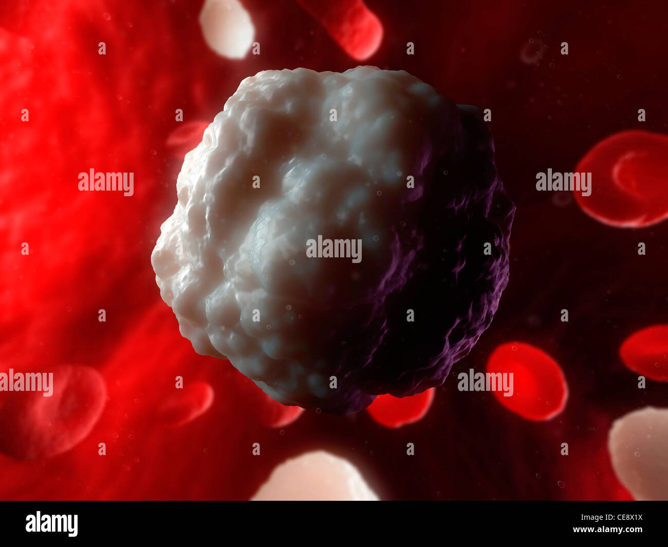 White blood cell drawing hi-res stock photography and images - Alamy