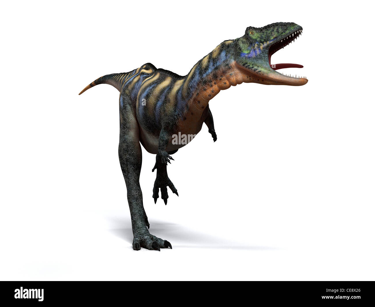 Aucasaurus dinosaur Computer artwork Aucasaurus medium sized dinosaur ...