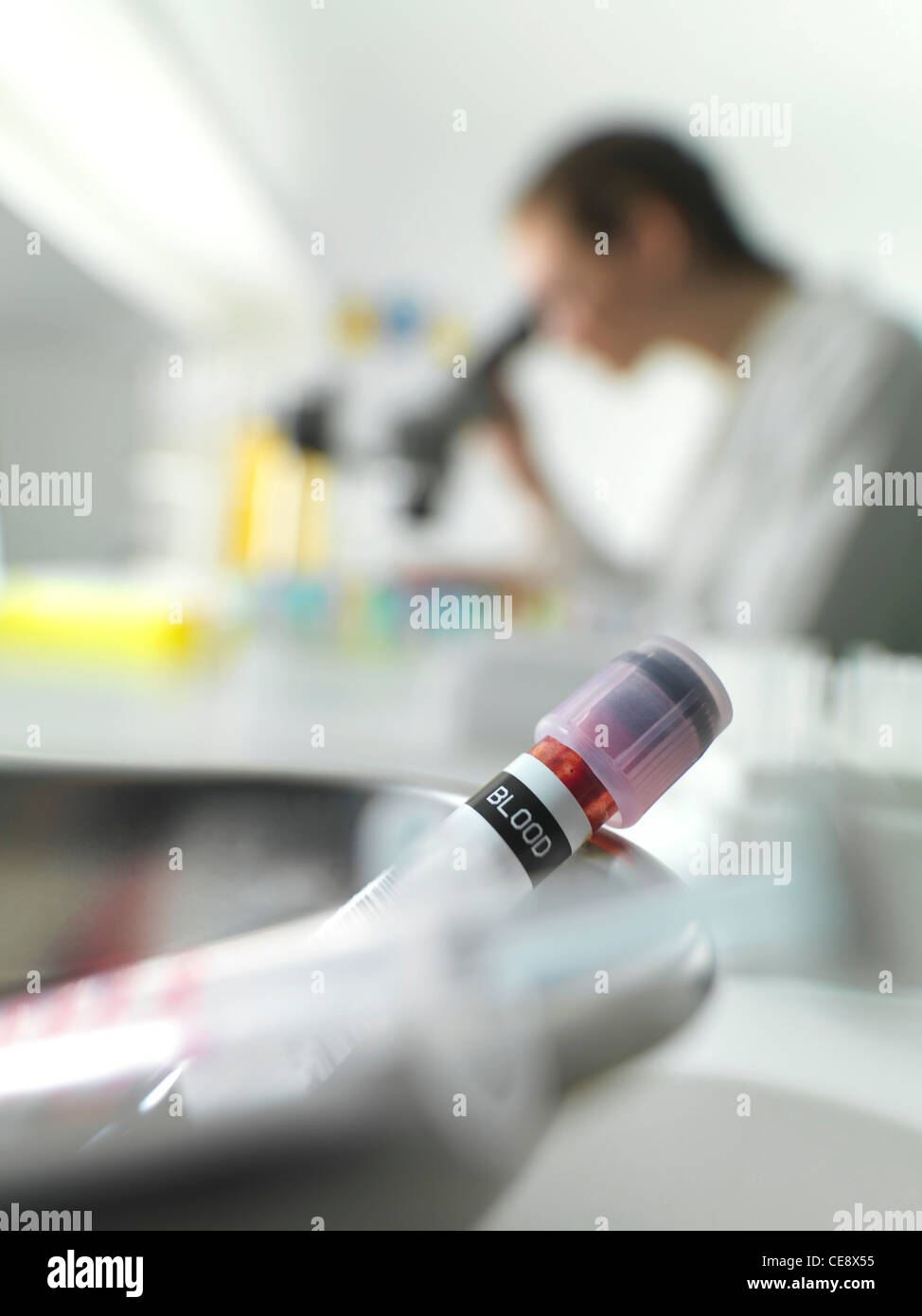 MODEL RELEASED. Haematology lab Stock Photo - Alamy