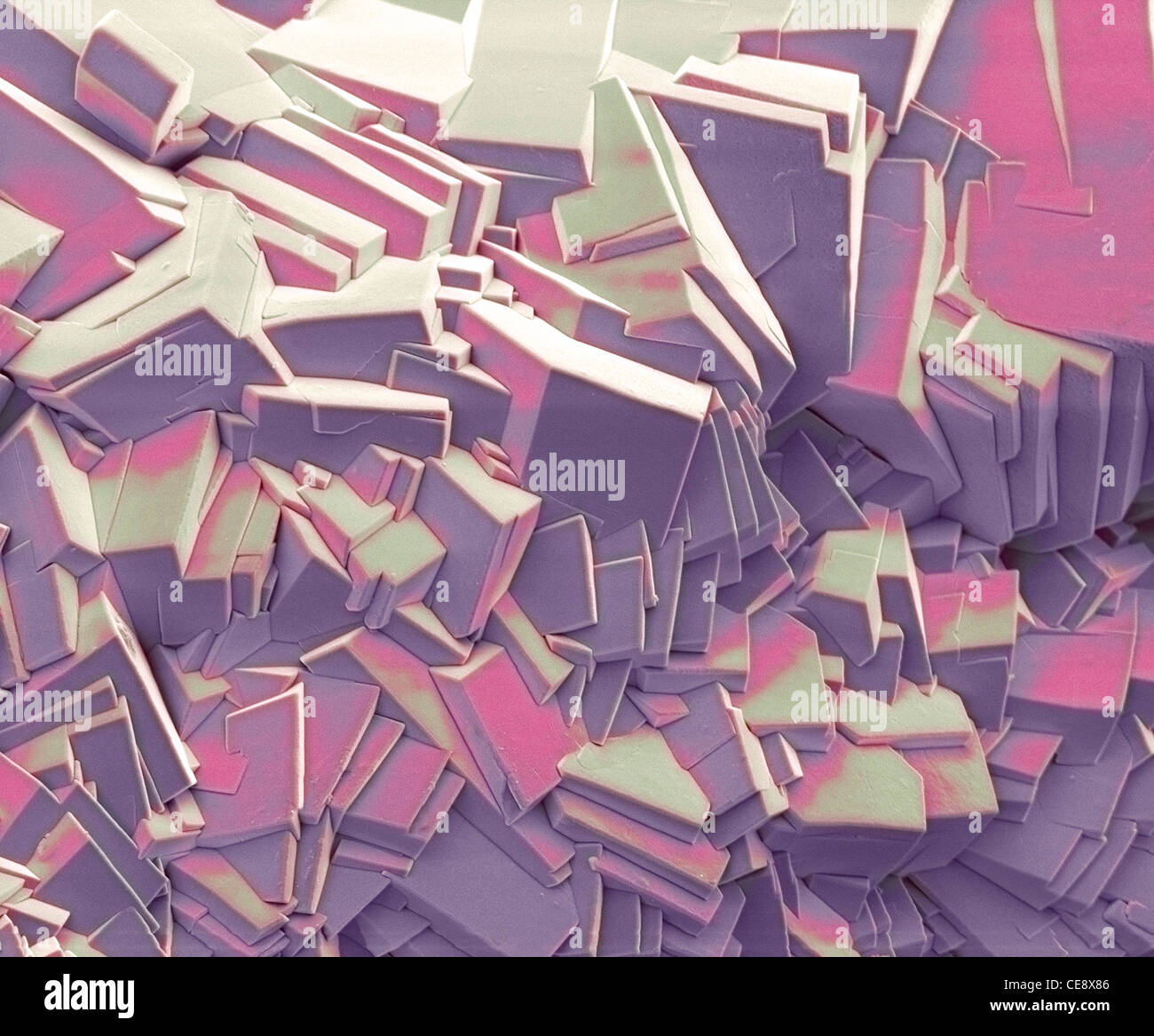 Sucrose crystals, coloured scanning electron micrograph (SEM ...