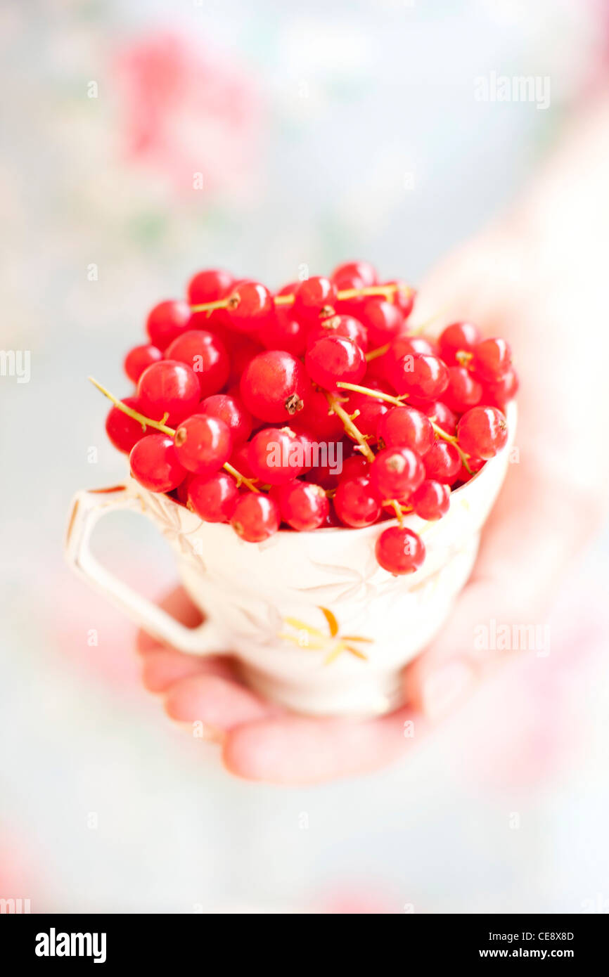 Hardy cup hi-res stock photography and images - Alamy