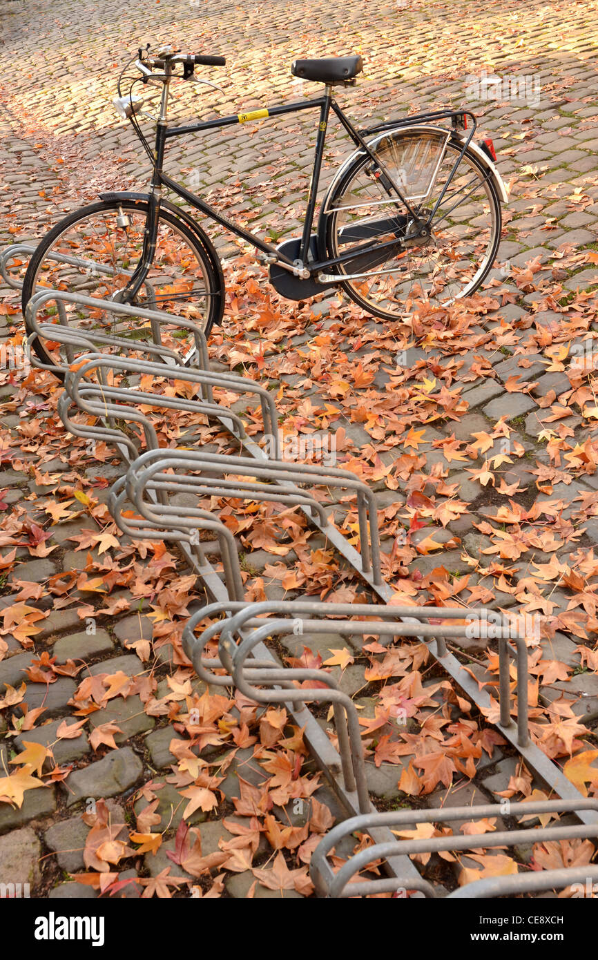 bicycle on bike rack surrounded by fallen leaves on cobblestone street ...