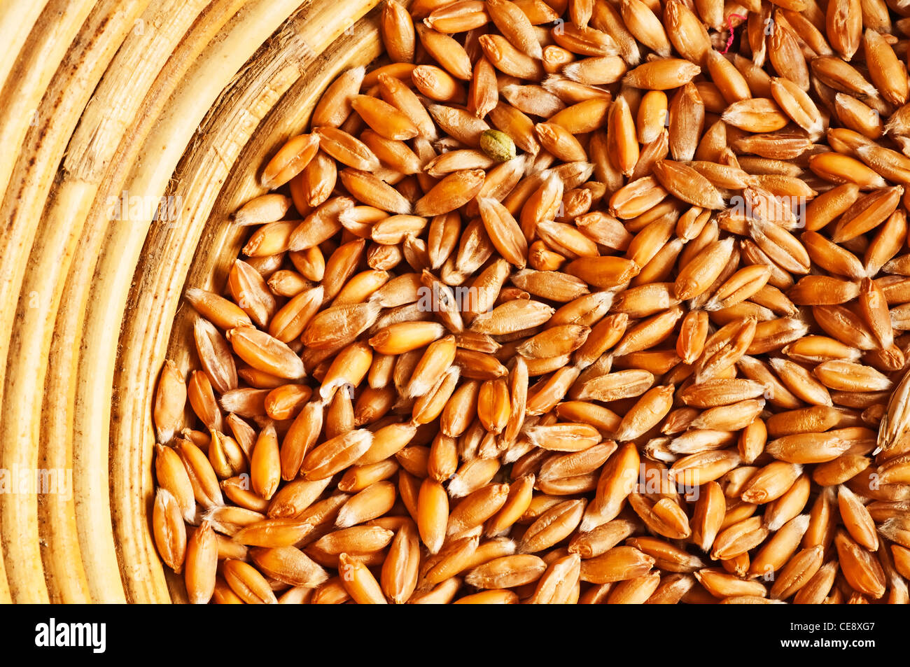 Spelt grain hi-res stock photography and images - Alamy