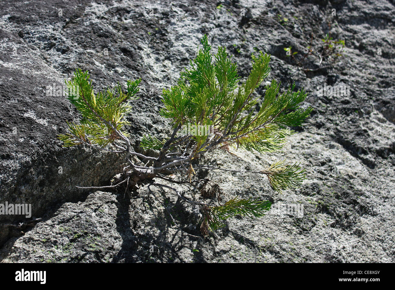 Granite power plant hi-res stock photography and images - Alamy