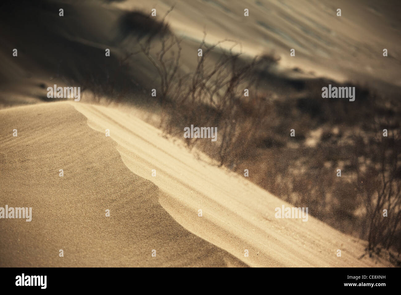 Sand storm in desert Stock Photo - Alamy