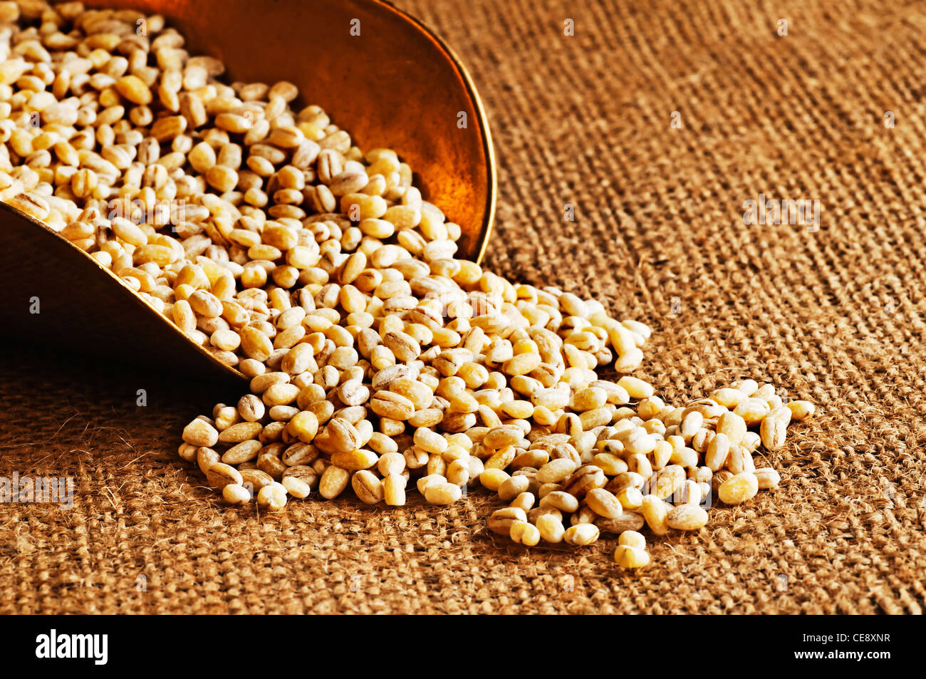 Pearl barley hi-res stock photography and images - Alamy